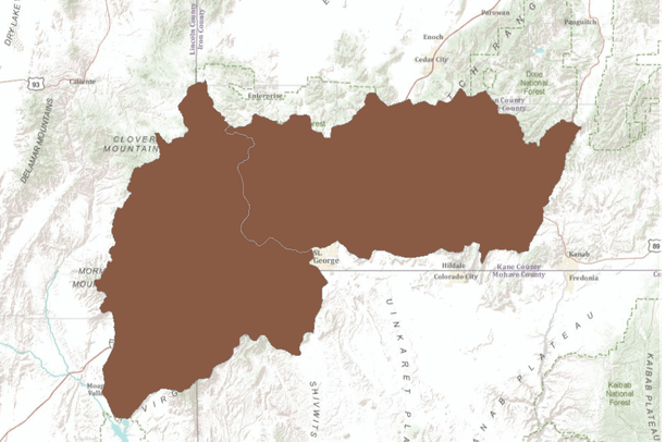 Virgin spinedace (Lepidomeda mollispinis) distribution and status by ...