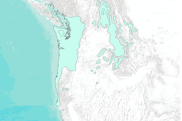 Grand fir (Abies grandis) extent, North America | Data Basin
