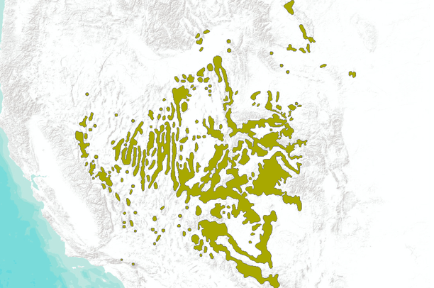 Utah juniper (Juniperus osteosperma) extent, North America | Data Basin