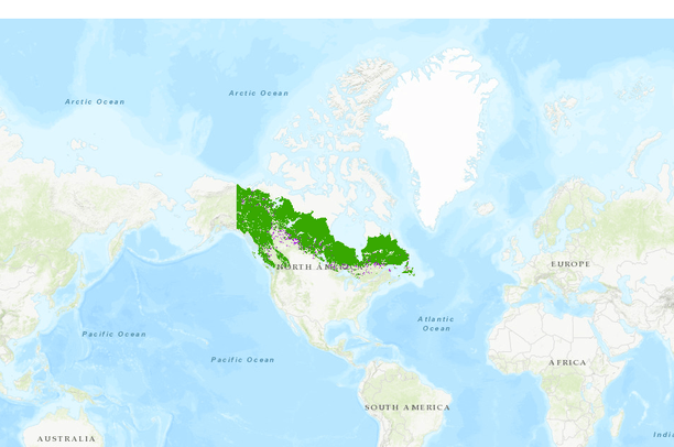 Canada’s Intact Forest Landscapes Updated to 2013 | Data Basin