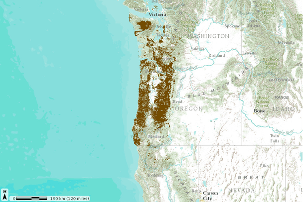 Soils with high organic content in the North Pacific Landscape ...