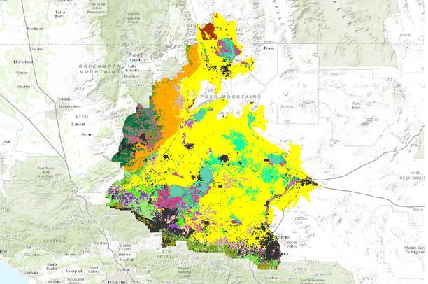 Land Cover/Natural Vegetation Communities (Group Level), West Mojave ...