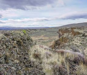 Environmental Conservation EEMS Model Data Inputs | Galleries | Data Basin