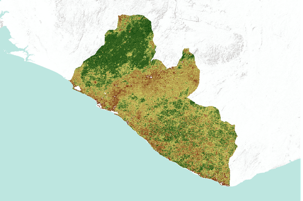 Liberia woody above-ground biomass (tonnes/hectare) | Data Basin