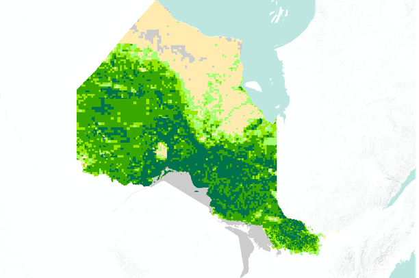 Canada's Forest Inventory (CanFI) 2001 for the boreal eco-region ...