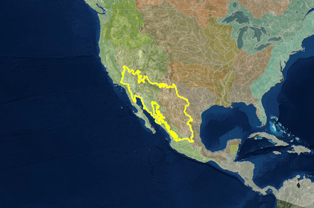 Desert LCC Base Map | Data Basin