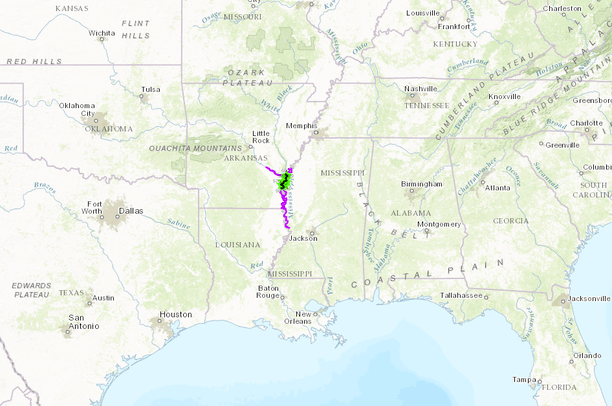 LMRRA Conservation Reach Study Arkansas River - River Mile 599 to 556 ...