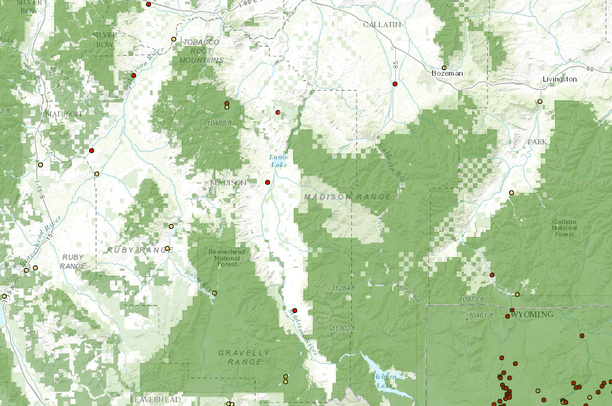 pinon pine | Data Basin