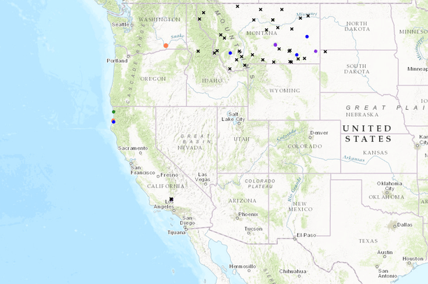 Hoary Bats 2013 | Data Basin
