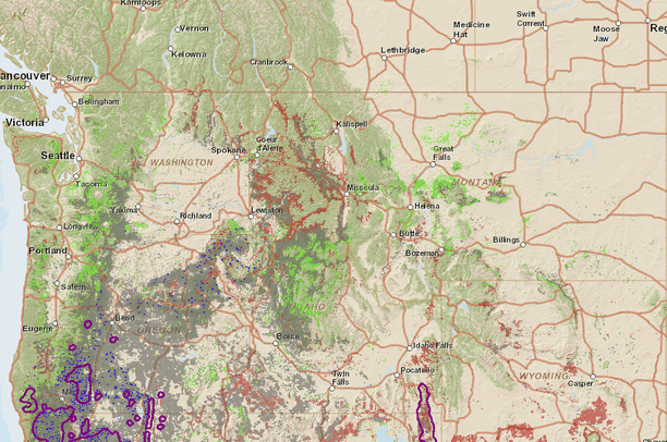 >70% probability of change for Abies concolor White Fir predicted ...