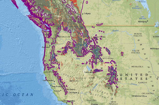 50% probability of change for Pinus contorta Lodgepole Pine (2000-2009 ...