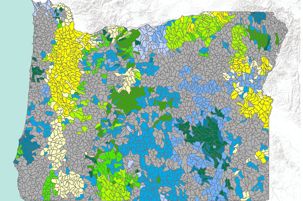 Estimated number of pesticides applied in areas of leachable soils in ...