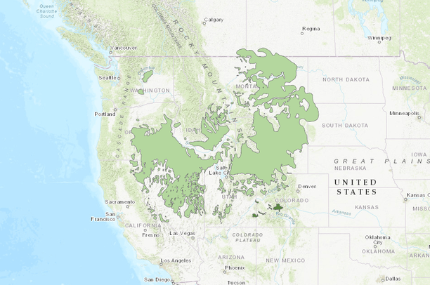 distribution of Sage grouse | Data Basin