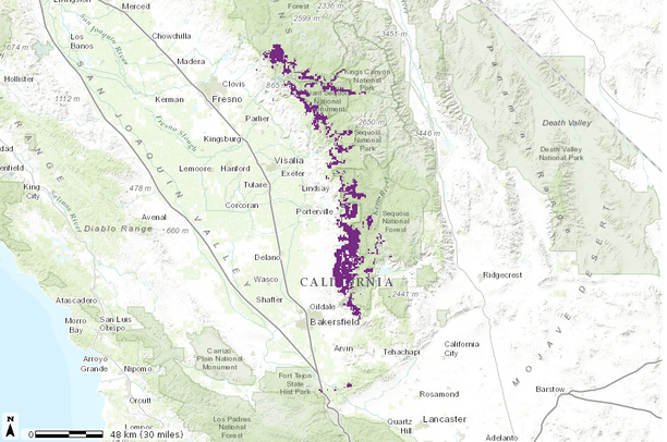 White (Valley oak) climate suitability models | Data Basin
