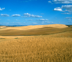 Columbia Plateau Farmlands | Galleries | Data Basin