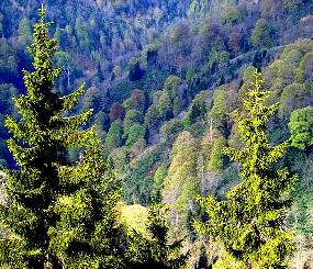 Land-Use Threats and Protected Areas: A Scenario-Based, Landscape Level ...