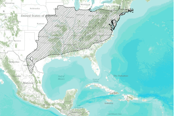 White-eyed Vireo geographic range | Data Basin