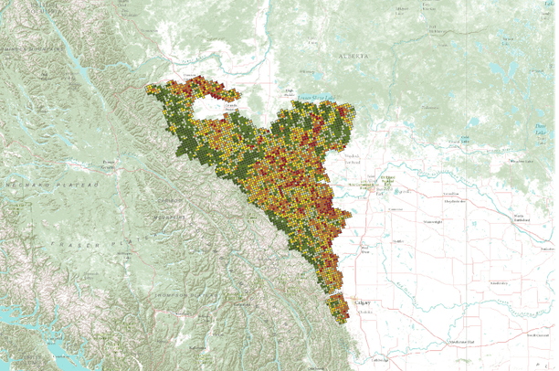 Watershed Quality Results from the Alberta Foothills Decision Support ...