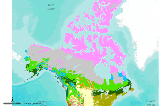8km MC1 simulation of Vegetation Dynamics for North America | Data Basin