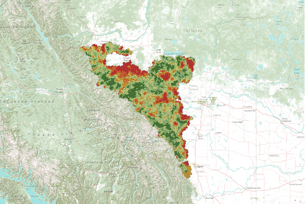 Forest Fragmentation Results from the Alberta Foothills Decision ...