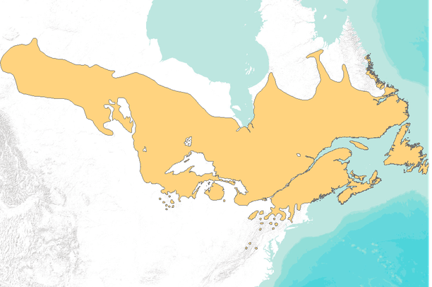 Balsam fir (Abies balsamea) extent, North America | Data Basin