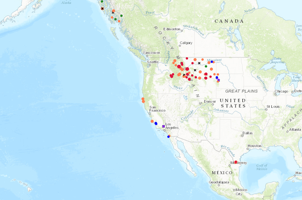 Bat Activity 2014 | BatAMP