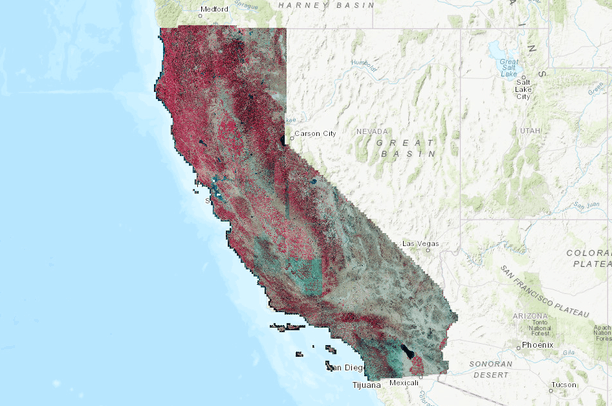 CA NAIP 2016 CIR | Data Basin
