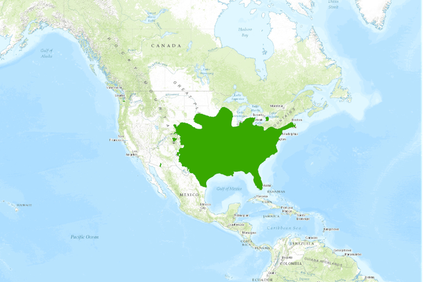 Northern Bobwhite Range | Data Basin