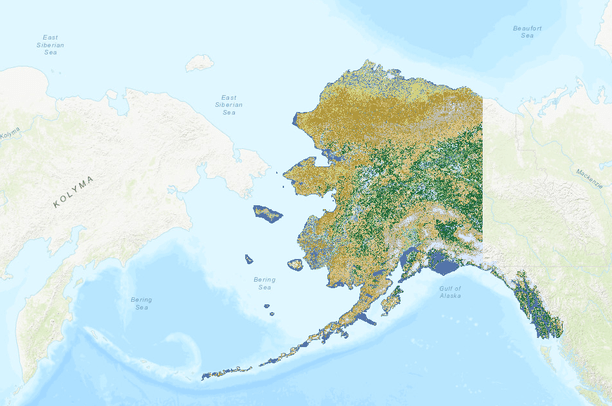 Alaska Land Cover | Data Basin