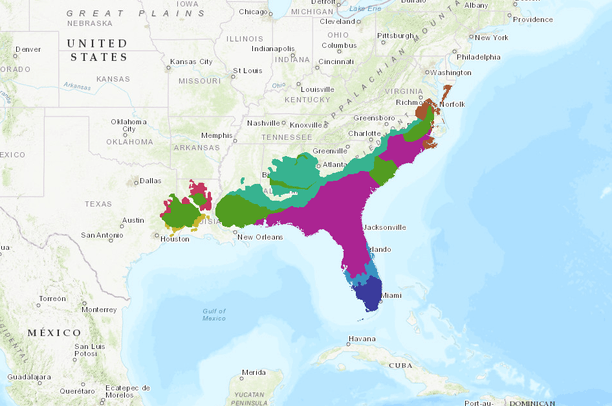 Pine Savannas And Woodlands of the Southeastern U.S. | Data Basin