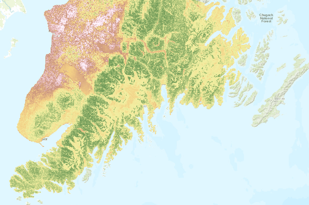Kenai Peninsula Bird Distribution Maps | Data Basin