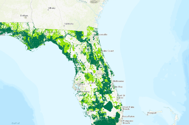 Florida Blueprint | Florida CPA