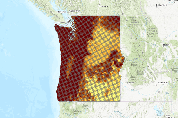 Myotis californicus (California myotis) Predictive Distribution | Data ...