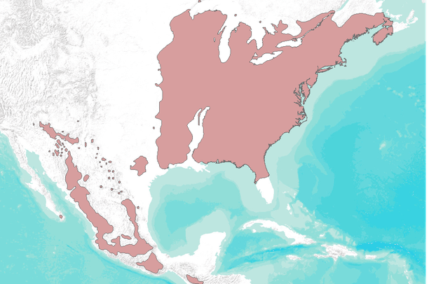 Black cherry (Prunus serotina) extent, North America | Data Basin