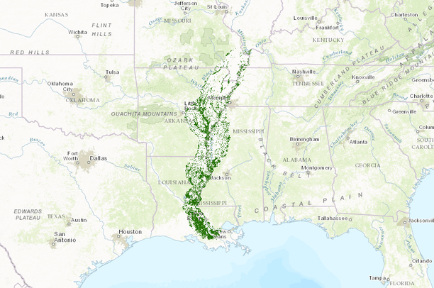 MAV Forest Characterization (2011) | Data Basin