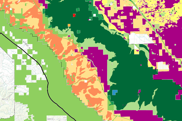 Least Conflict - Little Bear | Data Basin