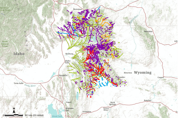Ungulate Migration in Yellow Stone Park | Data Basin