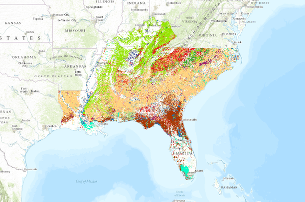 US Forest Service - FIA Forest Types (Generalized) of the Southeastern ...