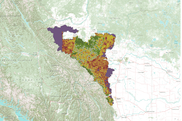 Grizzly Value Results from the Alberta Foothills Decision Support Model ...