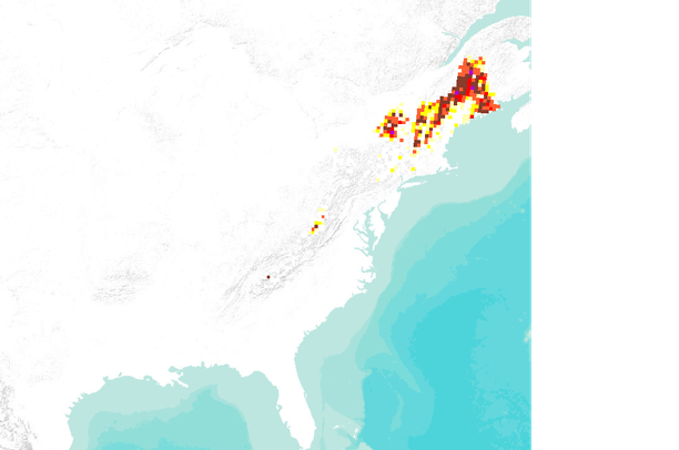 Eastern United States Climate Change Tree Atlas - Suitable habitat for ...