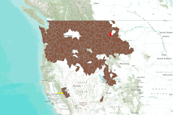 Mountain whitefish (Prosopium williamsoni) distribution and status by ...