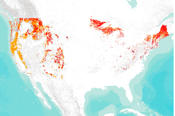 Susceptibility Surface Model for European Spruce Bark Beetle (Ips ...