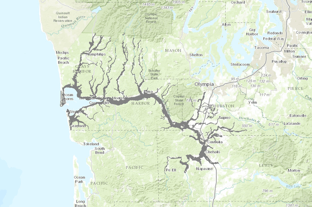 Chehalis.BM.AQGIS.hydrology_AQ_100yr_Floodplain | Data Basin