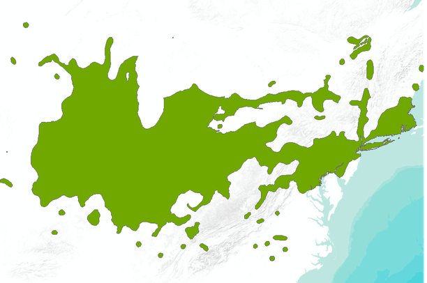 Swamp white oak (Quercus bicolor) extent, North America | Data Basin