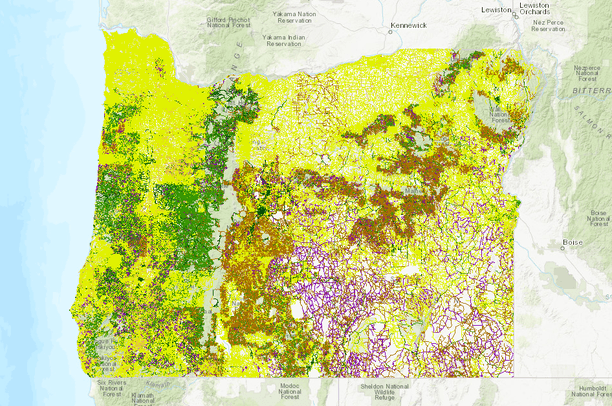 BLM OR GTRN Publication Roads Line | Data Basin
