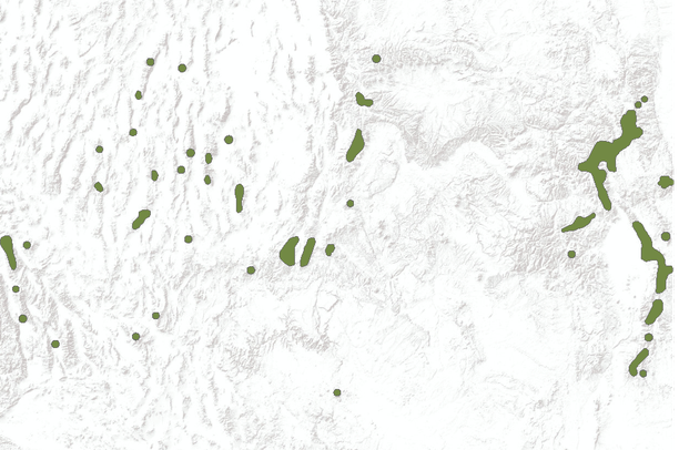Bristlecone pine (Pinus aristata) extent, North America | Data Basin