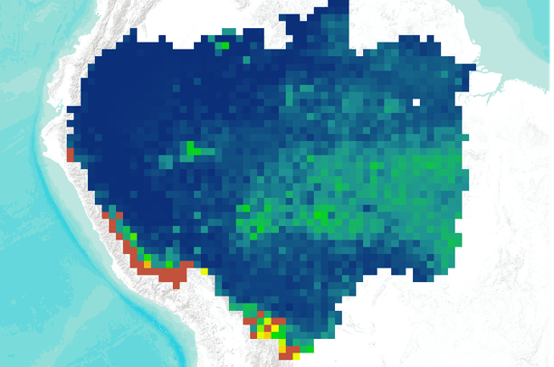 Percent change in above ground tree cover for the Amazon Basin under ...