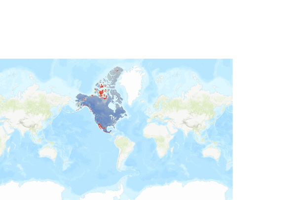 Uncertainty in projected backward climatic velocity values for RCP8.5 ...