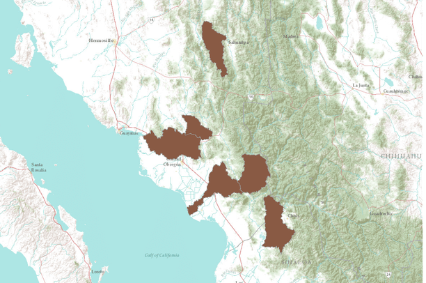 Mountain mullet (Agonostomus monticola) distribution and status by HUC8 ...