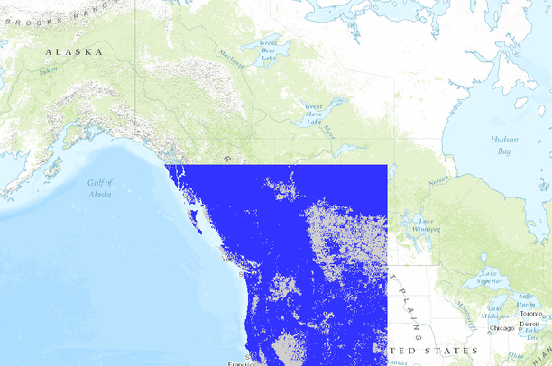 American Beaver (Castor canadensis) Habitat Suitability Change Models ...